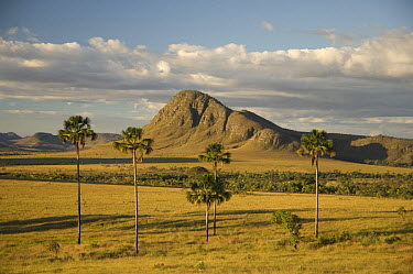 Nature Picture Library Hotspots