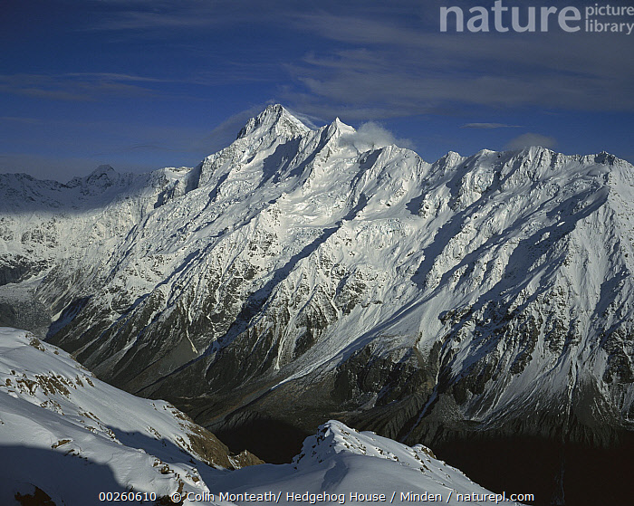 Nature Mount Sefton Southern Mt Sefton – Mustlovehills