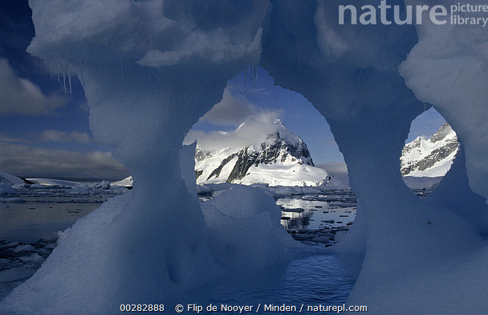 Stock photo of Eroded iceberg, Lemaire Channel, Antarctica. Available ...