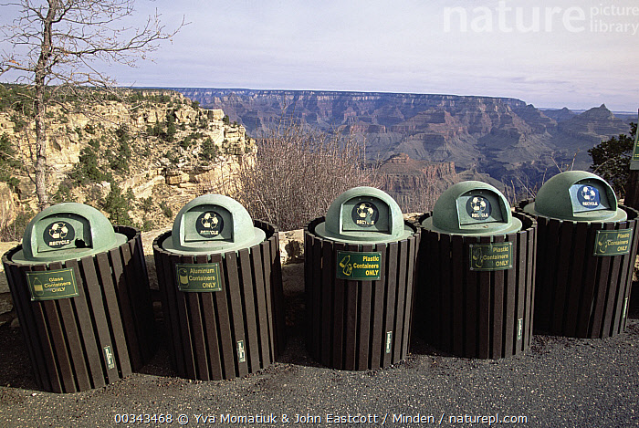 Stock photo of Recycling garbage cans in parking lot, South Rim, Grand ...