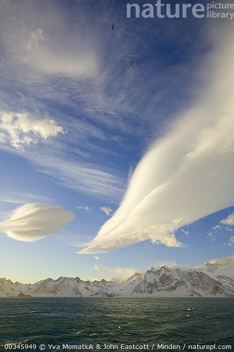 Stock photo of Dramatic lenticular clouds lit by rising sun, Moltke ...