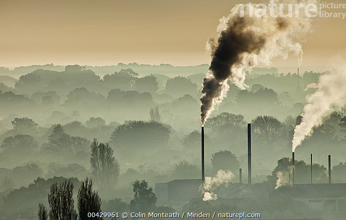 Stock photo of Factory chimneys belch smoke, winter smog makes it hard ...