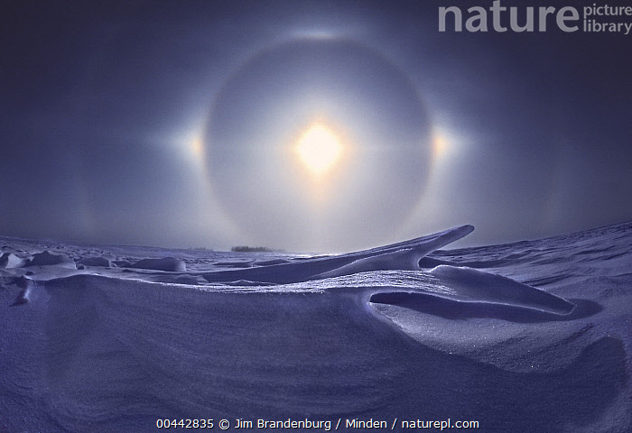 Stock photo of Sundogs, also known as mock sun, with snow field ...