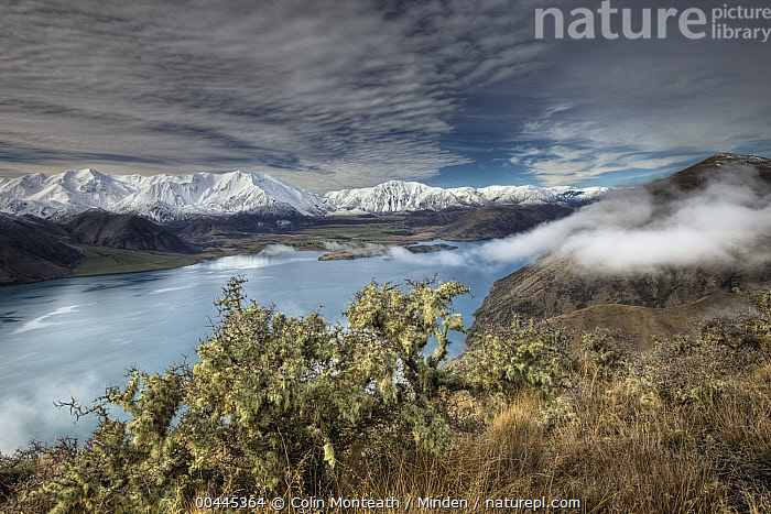 Stock photo of Lake Coleridge and snow-covered Craigieburn Range ...