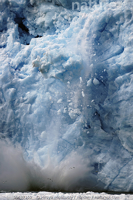Stock photo of Ice falling off glacier, Alaska. Available for sale on ...