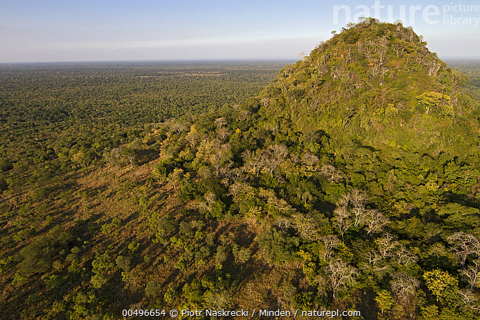 Stock photo of Inselberg rock formations rising from the rainforest ...