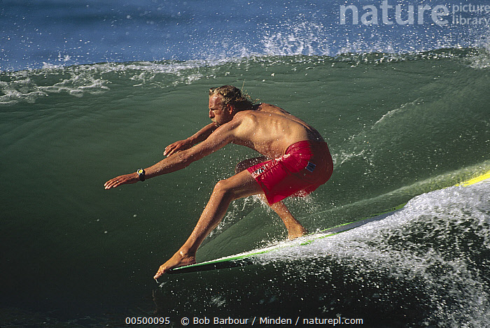 Stock photo of Terry Simms, Santa Cruz, California. Available for sale ...