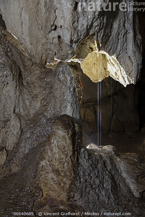 Stock photo of Water dripping from stalactites creating stalagmites ...