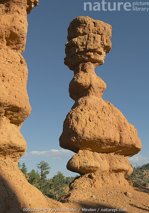 Stock photo of Limestone pinnacle, Claron Formation, Dixie National ...