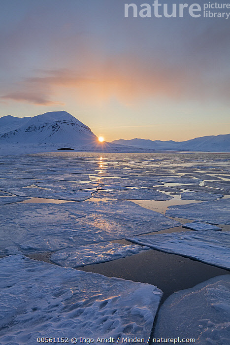 Stock photo of Midnight sun over ice floes in late winter, Svalbard ...