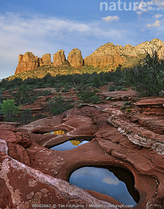 Stock photo of Pools in rocks, Seven Sacred Pools, Coffee Pot Rock, Red ...