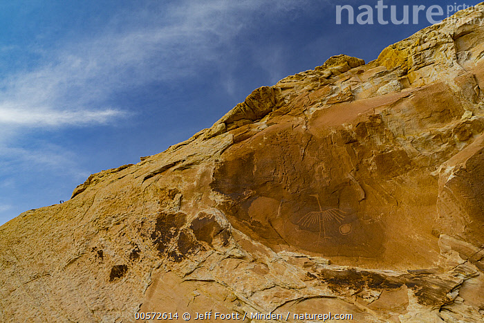 Stock photo of Thunderbird petroglyph made by Ancestral Puebloans, Comb ...