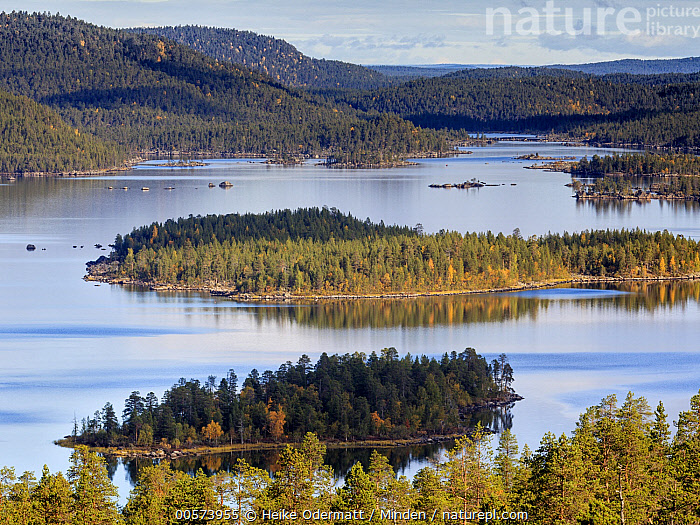 Stock photo of Islands in Lake Inari, Lapland, Finland. Available for ...