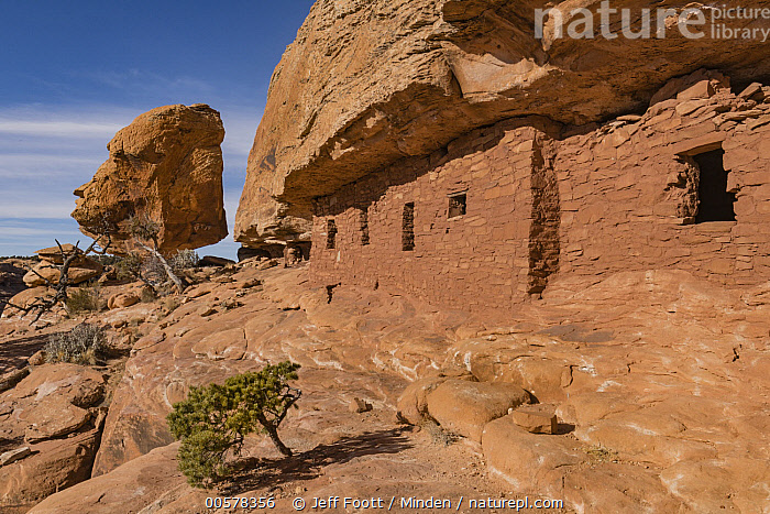Stock photo of The Citadel Ruins, Cedar Mesa area, Bears Ears National ...