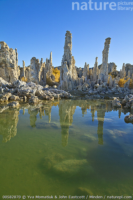 Stock photo of Calcium tufa formations, Mono Lake, California ...