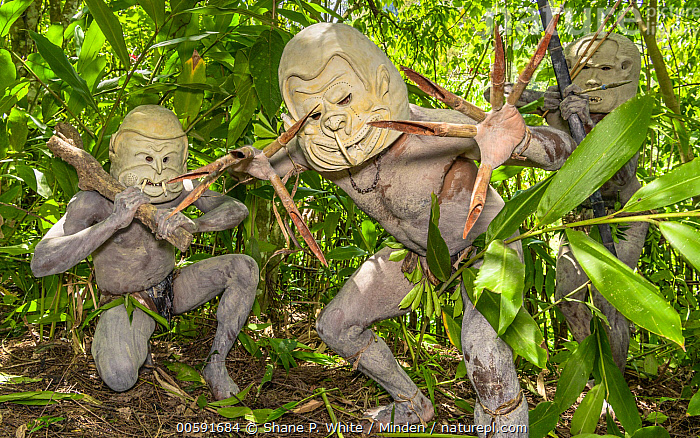 Stock photo of Asaro tribe men wearing traditional masks, Germiaka ...