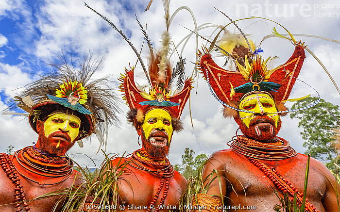 Stock photo of Huli tribe men, Enga Show, Wabag, Western Highlands ...