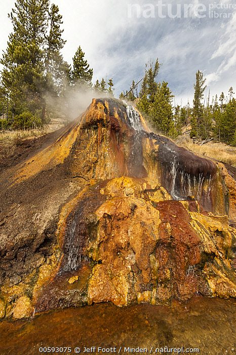 Stock photo of Chocolate Geyser, Gibbon River, Yellowstone National ...