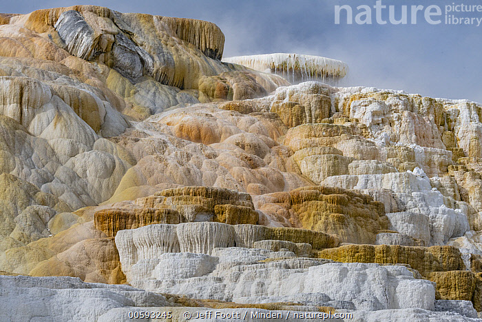 Stock photo of Travertine formations, Palette Spring, Mammoth Hot ...