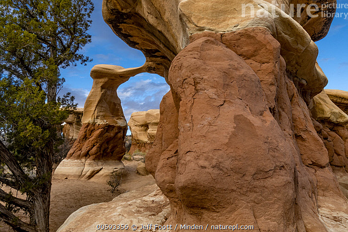 Stock photo of Rock formation, Metate Arch, Devil's Garden, Grand ...