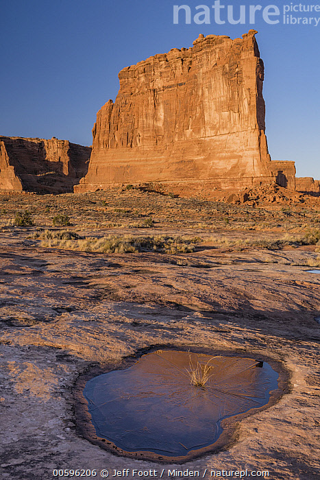 Stock photo of Rock formation reflected in icy pool, The Organ, Arches ...
