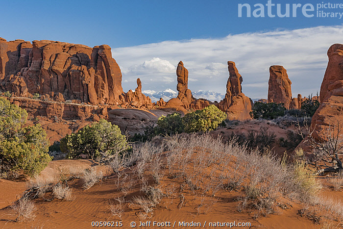 Marching Men Arches National Park Photo Highlights 2016 Alan