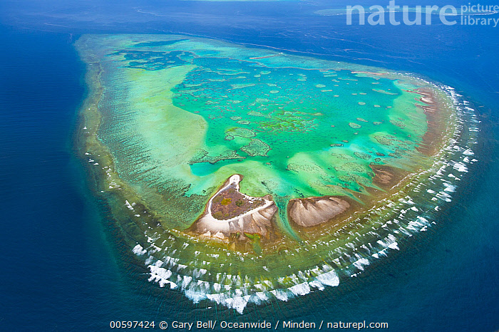 Stock photo of Tropical island, One Tree Island, Great Barrier Reef ...