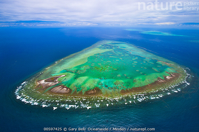 Stock photo of Tropical island, One Tree Island, Great Barrier Reef ...