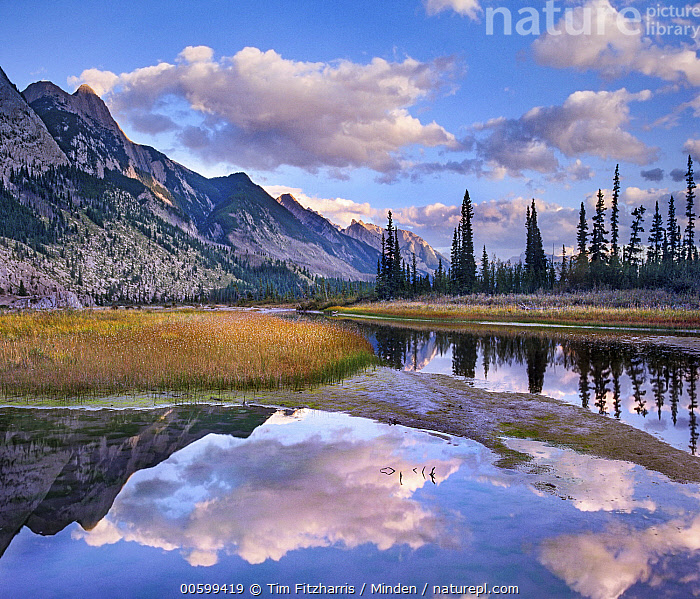Stock photo of Colin Range and Snaring River, Jasper National Park ...