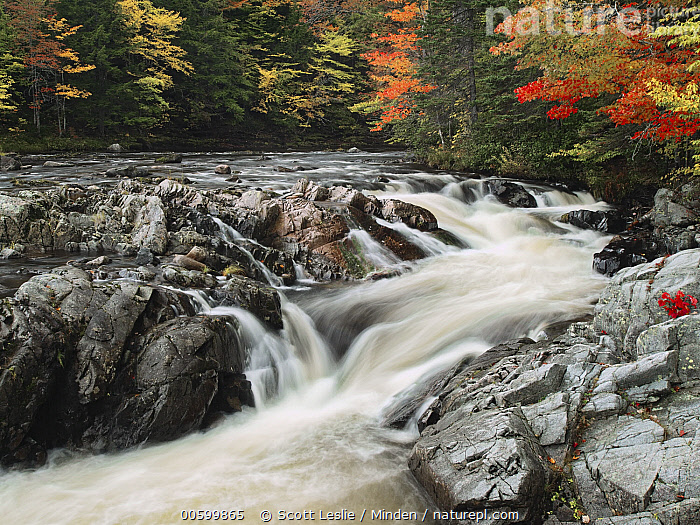 Waterfall In Autumn