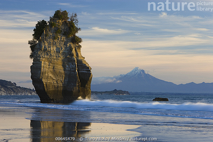 Stack Geology Diagram Of Formation Of A Cave, Stack & Stump (Higher