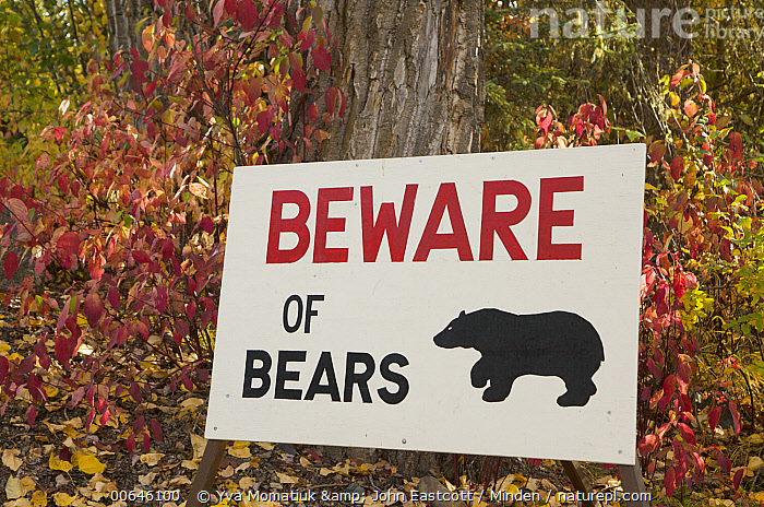 Stock photo of Bear warning sign, Fulton River, British Columbia ...