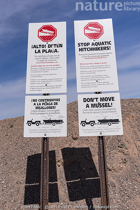 Stock photo of Invasive species warning sign at reservoir, Lake Mead ...