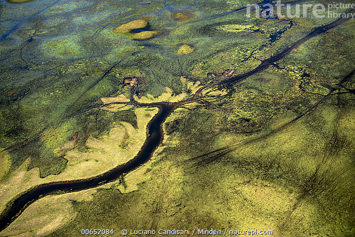Stock photo of Flooded plain during rainy season, Pantanal, Brazil ... Stock photo of Flooded plain during rainy season, Pantanal, Brazil ...