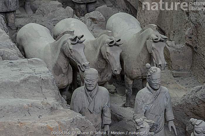 Stock photo of Terracotta Army statues, funerary art from 200 BCE ...