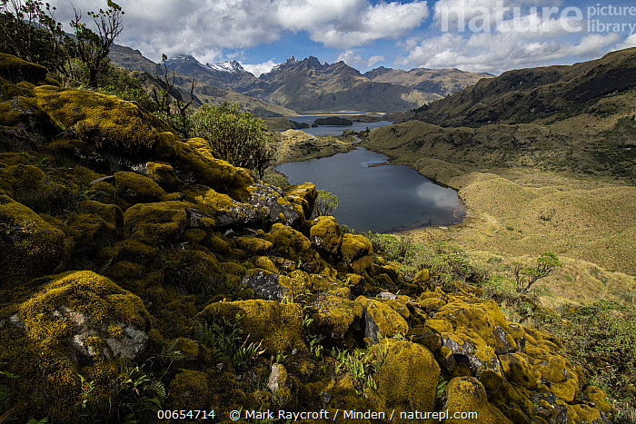Stock photo of Mountains and lakes in paramo, Andes, Ecuador. Available ...