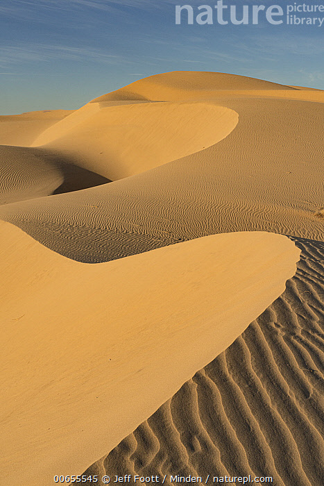 Stock photo of Sand dunes, Mojave Trails National Monument, Mojave ...