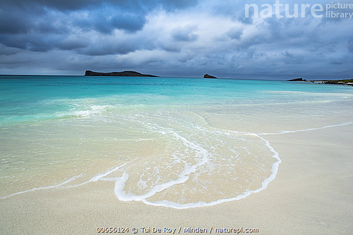 Stock photo of Beach, Gardner Bay, Espanola Island, Galapagos Islands ...