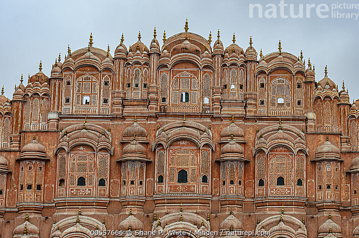 Stock photo of Palace, Hawa Mahal, Jaipur, India. Available for sale on ...