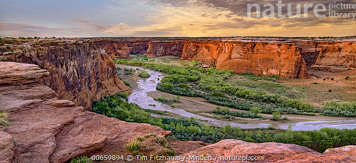 Stock photo of Junction Overlook and the Chinle Wash, Canyon de Chelly ...
