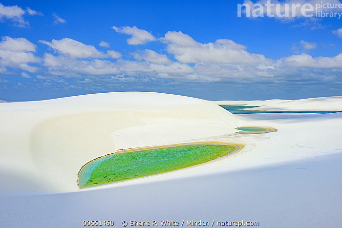 Stock photo of Freshwater lakes in sand dunes, Lencois Maranhenses ...