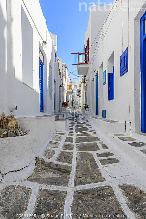 Stock photo of Alley with white washed buildings, Mykonos, Greece ...
