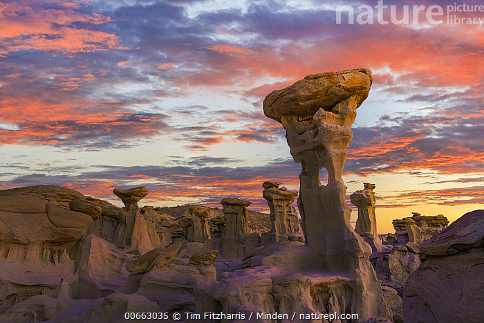 Stock photo of Rock formation, Alien Throne, Valley of Dreams, Bisti/De ...
