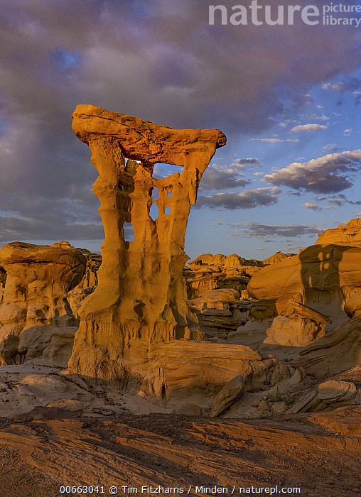 Stock photo of Alien Throne hoodoo, Valley of Dreams, Bisti/De-Na-Zin ...