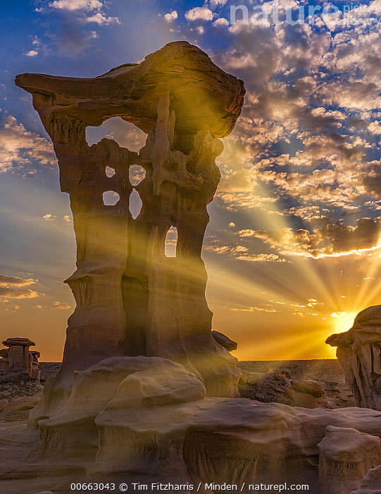 Stock photo of Alien Throne hoodoo, Valley of Dreams, Bisti/De-Na-Zin ...