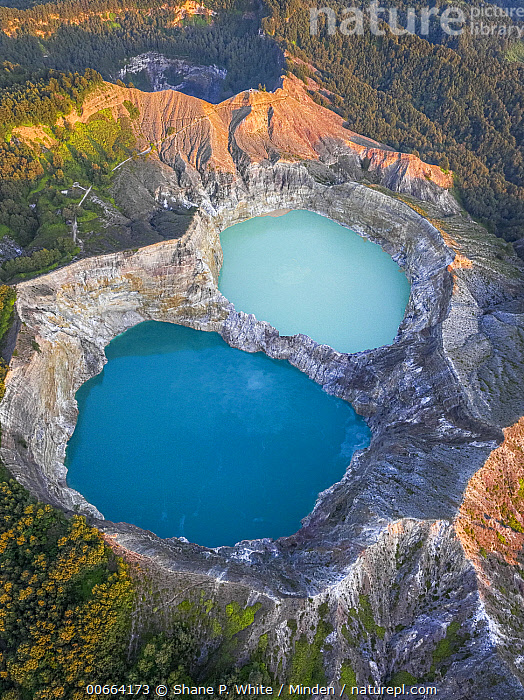 Stock photo of Volcanic lakes in craters, Tiwu Ko'o Fai Nuwa Muri and ...