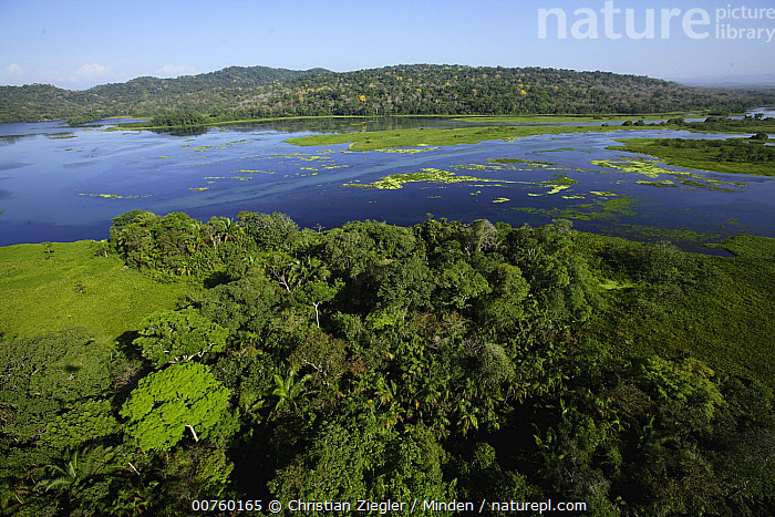 Stock photo of Aerial view of the Canal Zone, Chagres River which feeds ...