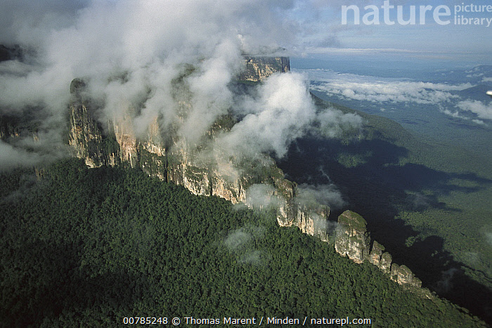 Stock photo of Chimanta Tepui, Canaima National Park, Venezuela ...