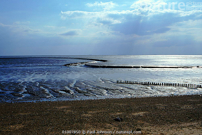 Stock photo of The Wash estuary, Norfolk, England. Available for sale ...