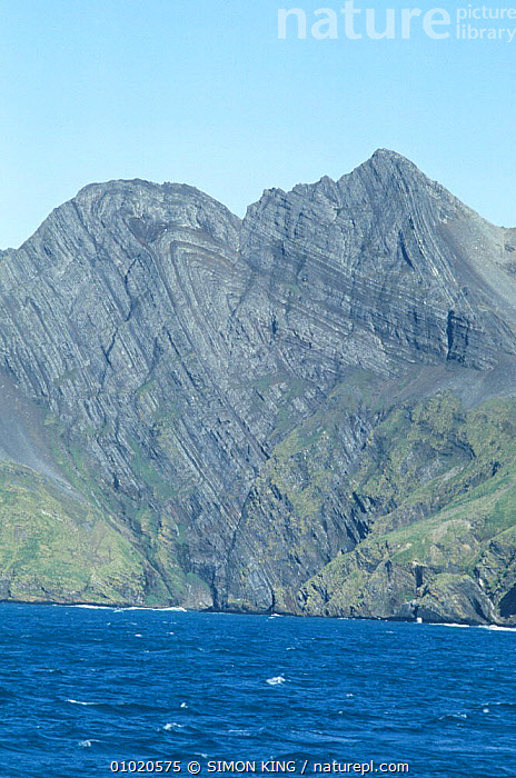 Stock photo of Rock strata folding along coastal cliffs, South Georgia ...